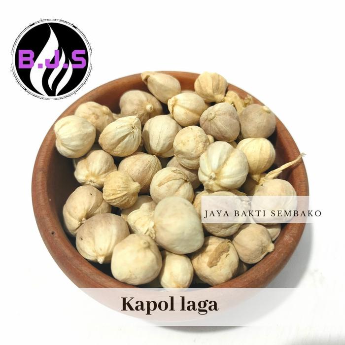 Jual kapol laga putih 1kg kapulaga kapolaga - Jakarta Timur - Jaya ...