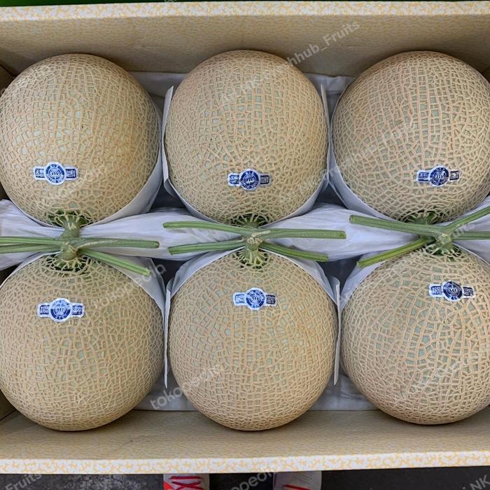 Jual Melon Jepang Musk Crown Fresh Import Japan 1box isi 6pcs - Jakarta ...
