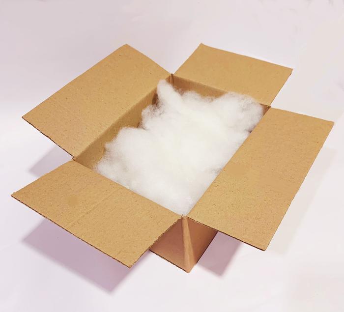 Jual Packaging Paxel Delivery (Box, Bubblewrap, Dacron,dsb) - Size M ...