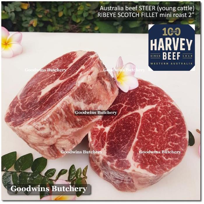 Jual Australia HARVEY beef STEER RIBEYE aged frozen MINI ROAST 2" 5cm ...