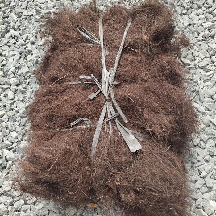 Jual LIVE Sabut Kelapa Serabut Coco Fiber Media Tanam 1 KG - Cocok ...