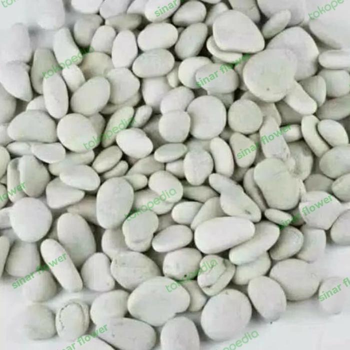 Jual batu hias putih repack 1kg/batu taman/batu tanaman/batu aqua rium ...