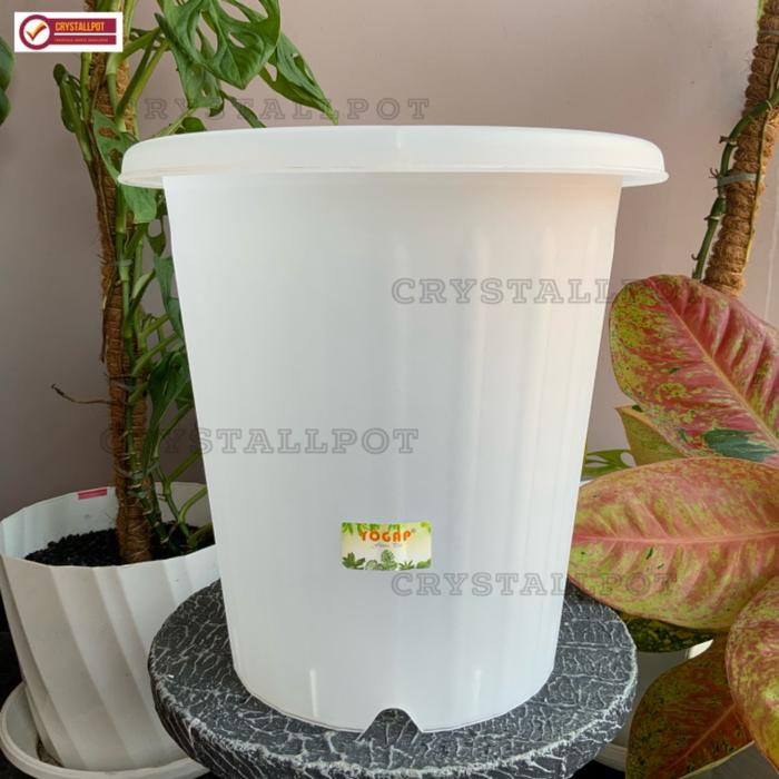Jual pot bunga tanaman tinggi yogap YPT 30 bening transparan - bahan ...