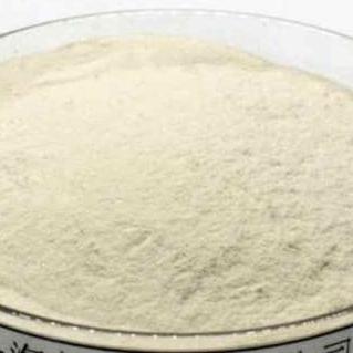 Jual Kitosan - Chitosan - Pharmaceutical grade CoA - Citosan - 100 g ...