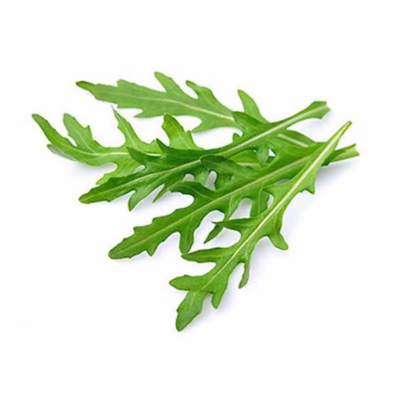 Jual Daun Arugula Rocket Organik Segar - 100gr - Jakarta Selatan ...