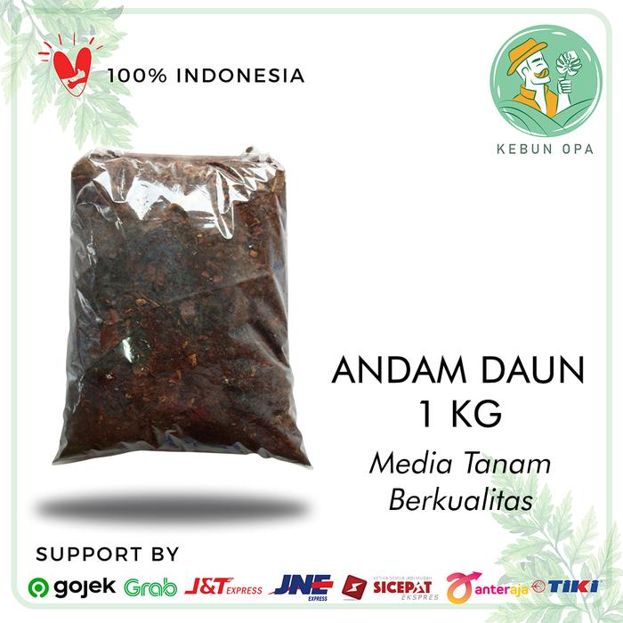 Jual Media Tanam Andam daun / Kompos organik Hutan bambu mahoni 1 Kg ...