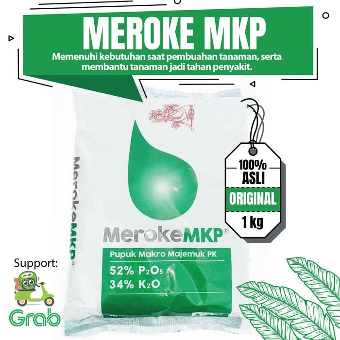 Jual Pupuk Meroke MKP untuk Nutrisi Hidroponik pada masa pembuahan ...