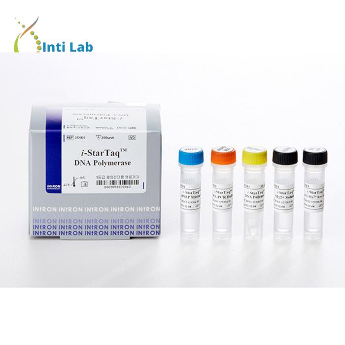 Jual iNtRON i-StarTaq DNA Polymerase (Short Expired Date) - 500 units ...