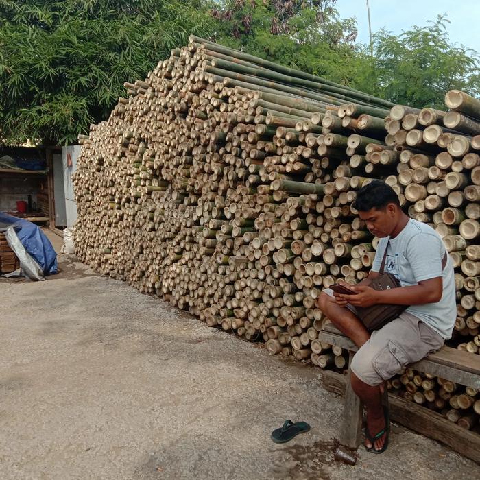Jual bambu untuk steger/cerucuk ukuran 8-9 - Jakarta Utara - UD DIANA ...