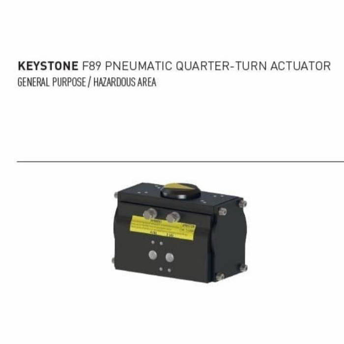 Double Acting And Spring Return Pneumatic Actuators For