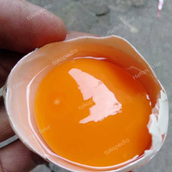 Jual telur ayam kampung merah omega - Kota Bekasi - Hafizh Telur ...