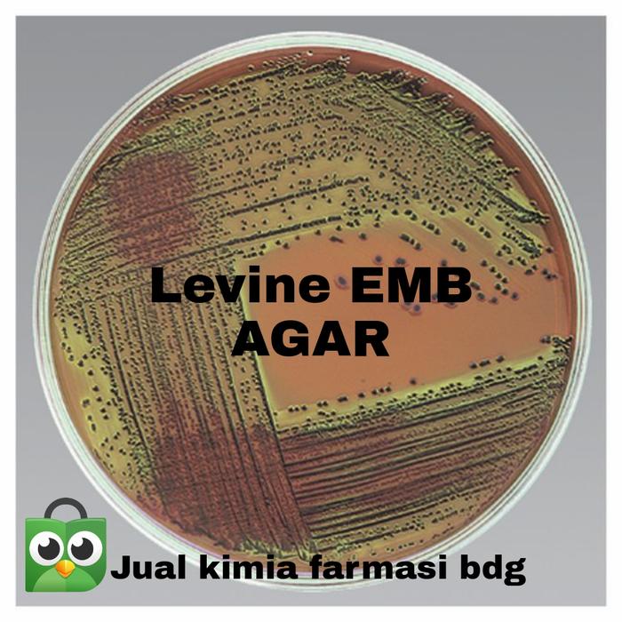 Jual Eosin Methylene Blue Agar (Levine) / Levine EMB Agar Difco Repack ...