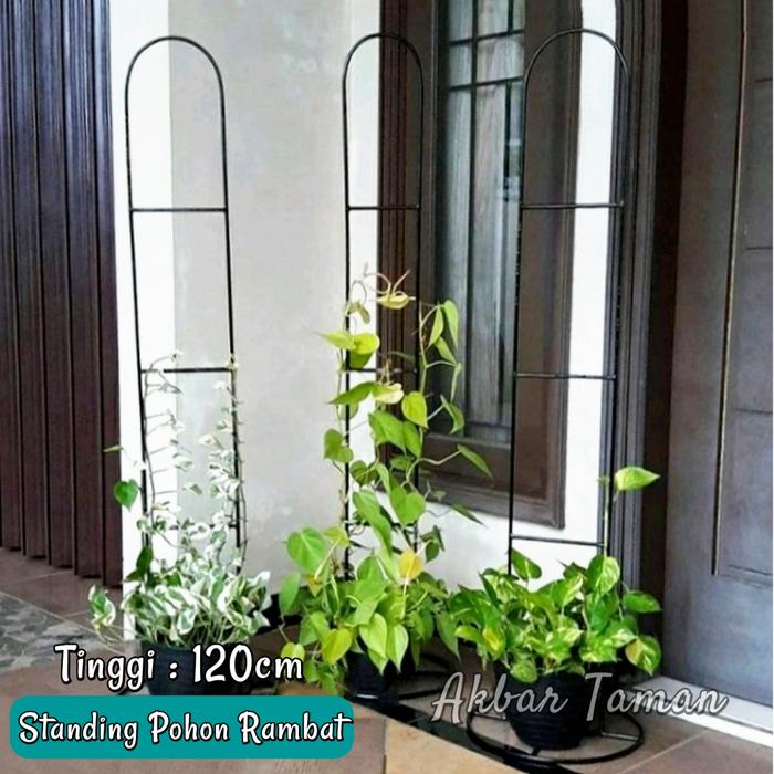 Jual Standing Besi Pohon Rambat / Rak Pot Tanaman Besi Rambat Tinggi ...