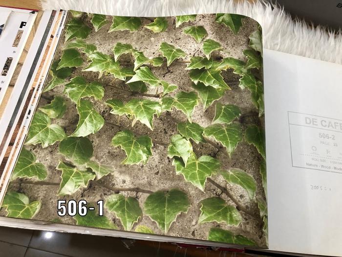 Jual Wallpaper Dinding Motif Daun Rambat Hijau Natural De Cafe - Kota ...