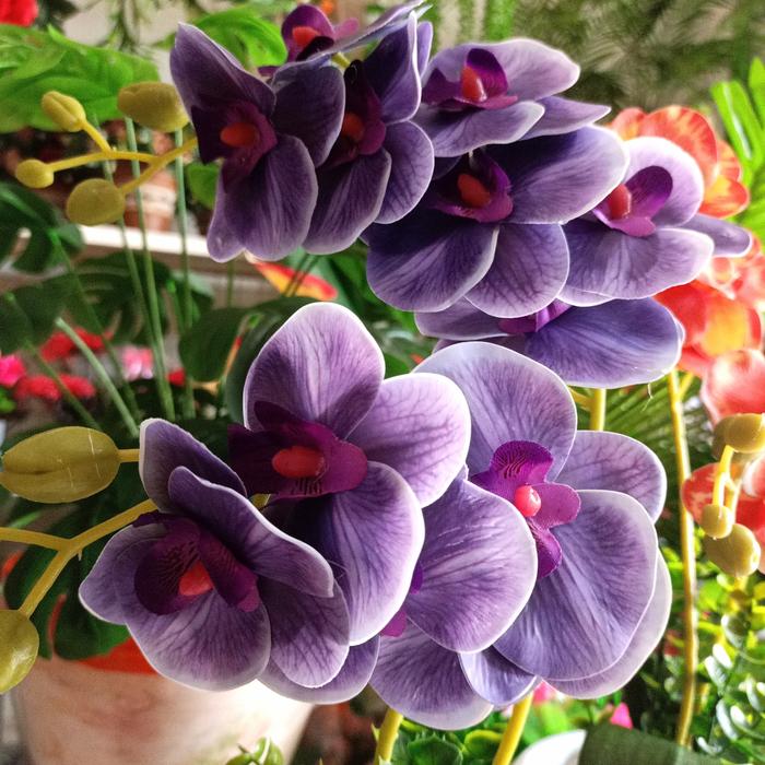 Jual Rangkaian Bunga Anggrek Latex Dekorasi Rumah Vas Bulat Putih ...