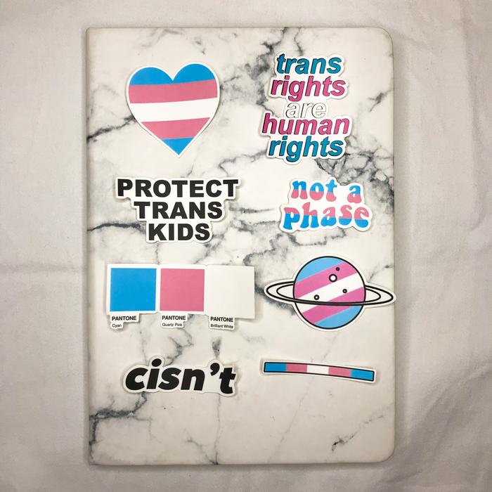 Jual Blue Pink Trans Aesthetic Sticker Pack - Pride Notebook Laptop ...