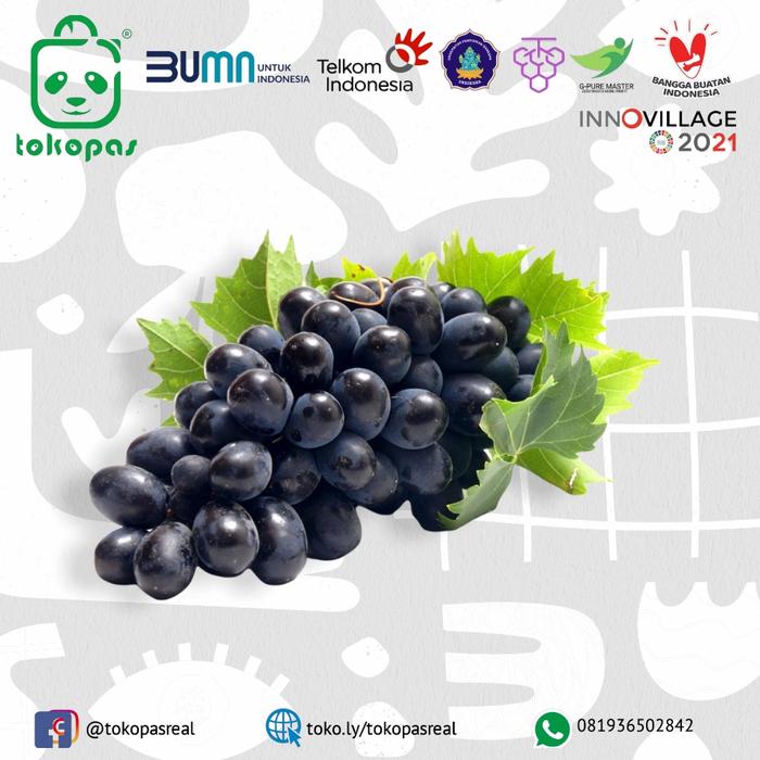 Jual Buah Anggur Segar MEK LUH; Hitam Manis Sobean Asli Buleleng-Bali ...
