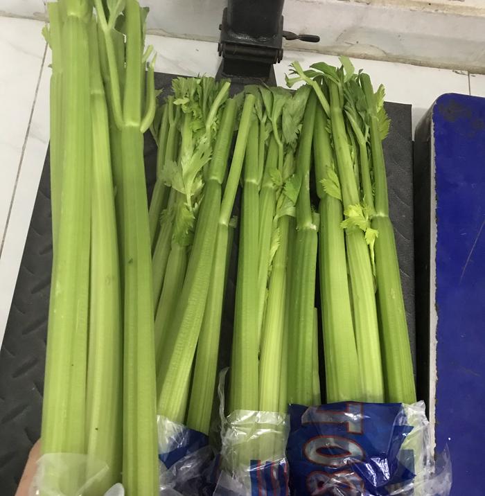 Jual CELERY STICK IMPORT - Jakarta Timur - Two Claire | Tokopedia