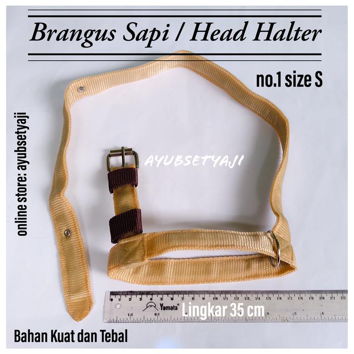 Jual Brangus Sapi Head Halter size S sapi kambing Tali ikat kepala sapi ...