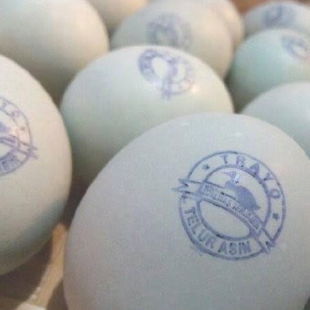 Jual Stempel telur asin Flash Warna Otomatis Tinta Permanent - Jakarta ...