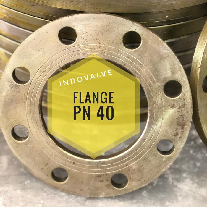 Jual Flange Besi PN40 uk 6" inch - Flange Carbon Steel PN 40 6" inch ...