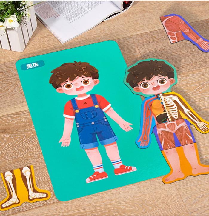 Jual Mainan Puzzle Body Structure Puzzle Anak, Edukasi Anatomi Anak Di ...
