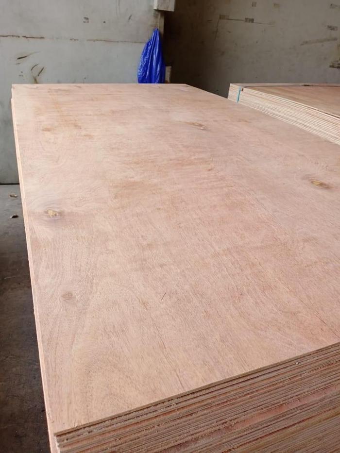 Jual Triplek 8mm untuk COR Plywood - Kab. Bogor - MIM Semangat | Tokopedia