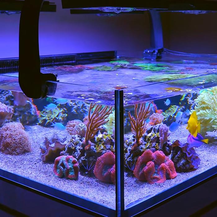 Best 30 Gallon Fish Tanks For Stunning Underwater World, 40% OFF