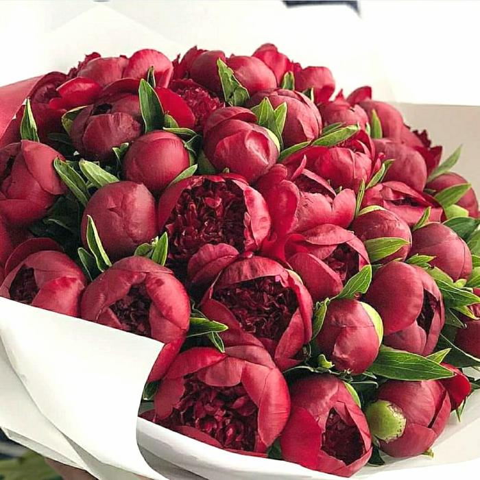 Jual Peony Bouquet/Bouquet Peony/Buket Bunga Peony/Bunga Peony Asli ...