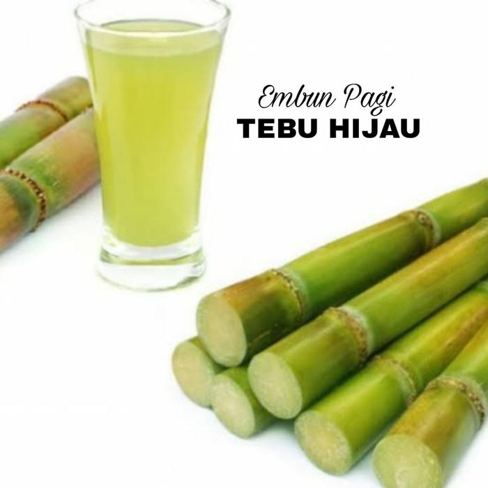 Pohon Tebu