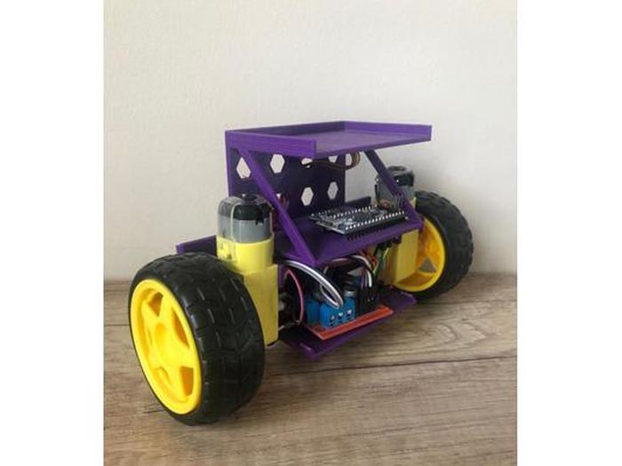 Jual Customizable Self Balancing Arduino Robot/Print 3d full body ...