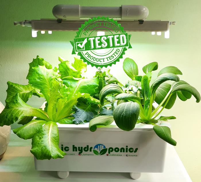 Jual Hidroponik Indoor Set / Hydroponic Starterkit Growlight - RAWIKARA ...