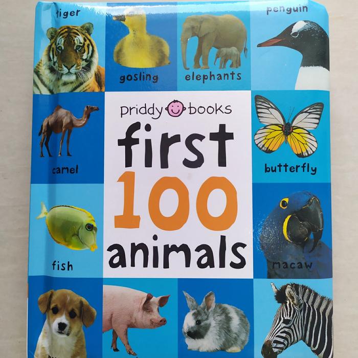 Jual Priddy Books - First 100 Animals (Board Book) for Early Learning ...