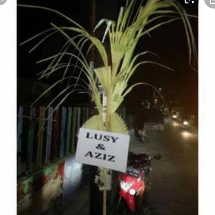 Jual Janur kuning kecil/janur kecil nikahan/janur penanda jalan/janur ...