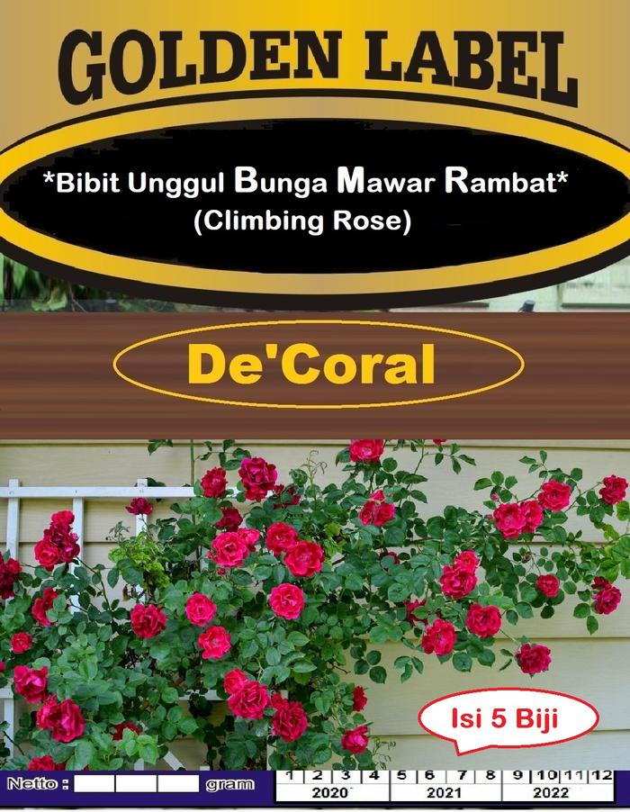 Jual Bibit Unggul Bunga Mawar Rambat Climbing Rose|Benih Bunga Mawar ...