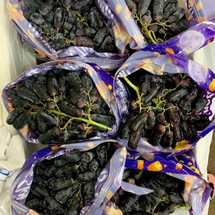 Jual buah anggur hitam panjang/USA LONG BLACK GRAPESS AUTUMN SEEDLESS 1 ...