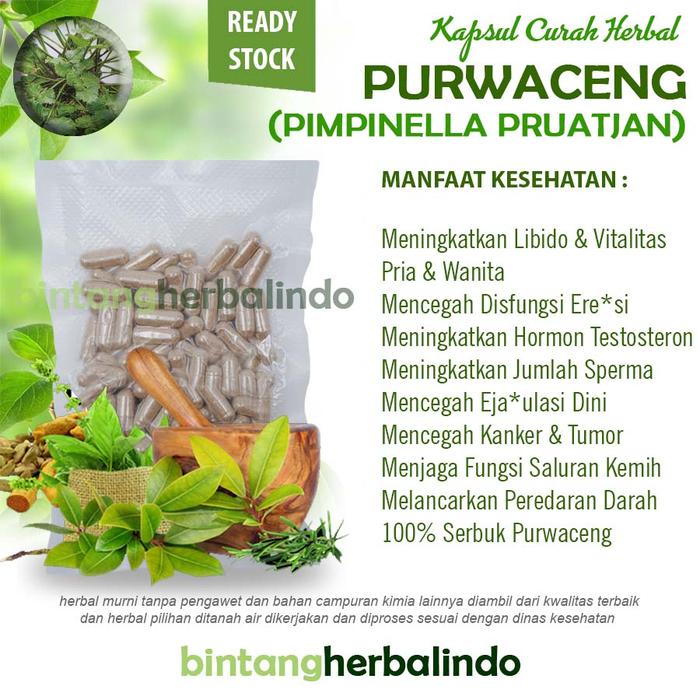 Jual PURWACENG 100 Kapsul Curah Herbal Jamu Kuat Pria Vitalitas Libido ...