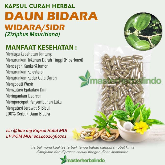 Jual DAUN BIDARA 100 Kapsul Curah Herbal Ambeien Ejakulasi D1ni Depresi ...