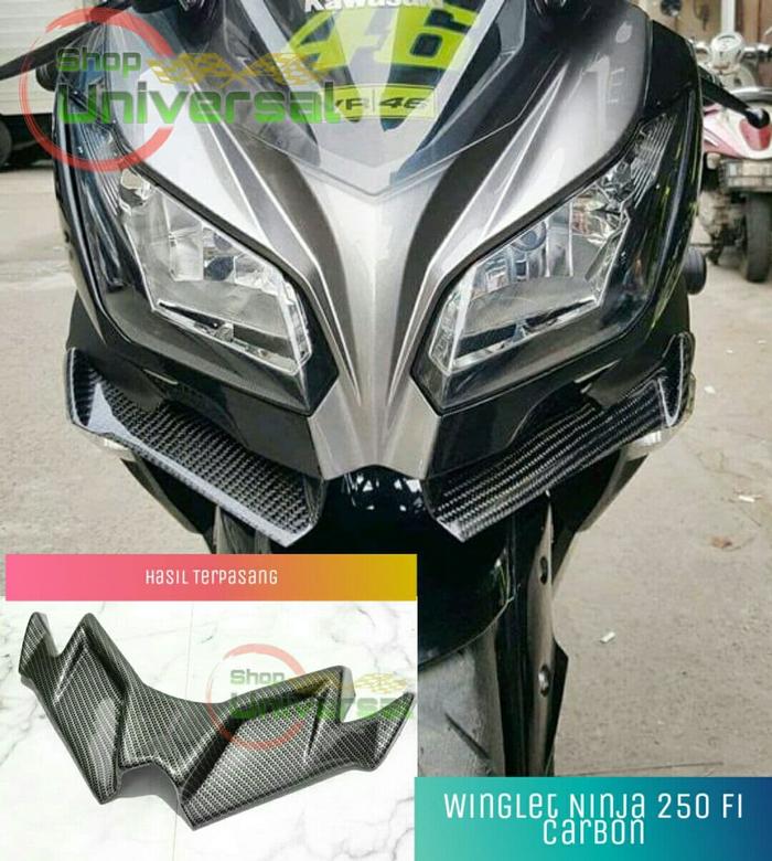 Jual Winglet Ninja 250 fi Carbon Aksesoris Variasi Motor - Kota ...