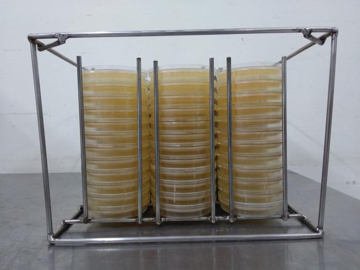 Jual RAK RODAC PLATE CAWAN KONTAK RAK MEDIA AGAR MIKROBIOLOGI ...