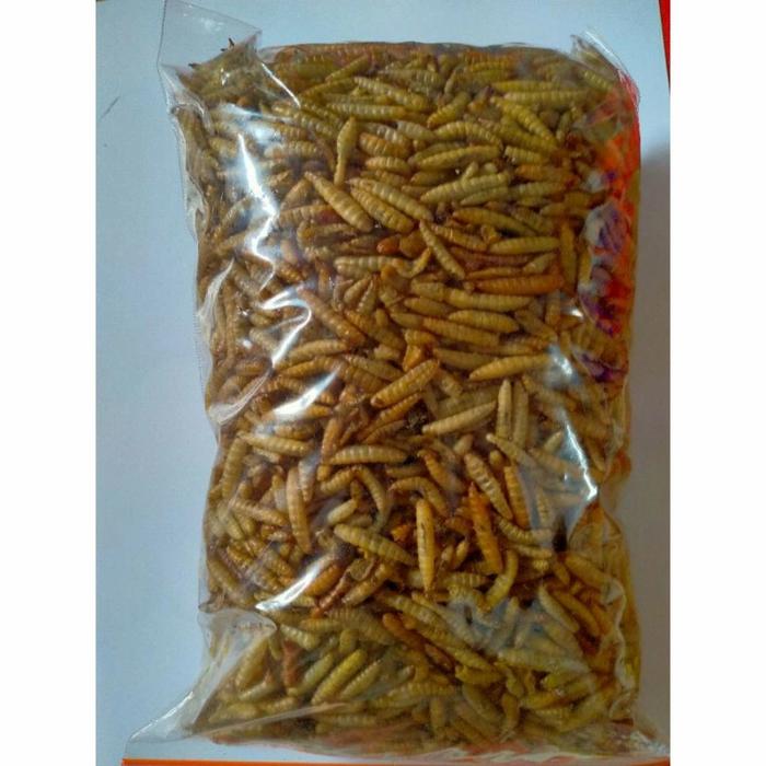 Jual MAGGOT KERING 250GR DRIED LARVAE BSF LARVA MAGOT PAKAN MAKANAN ...