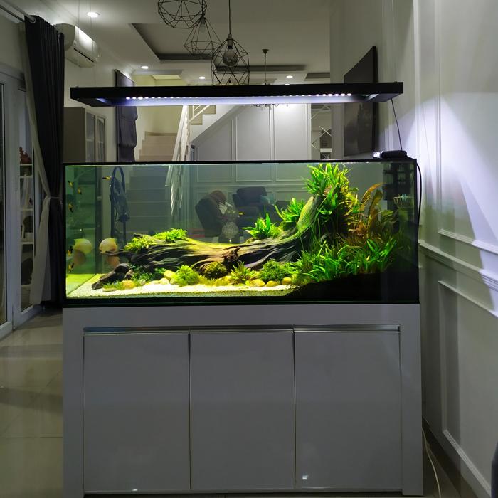 Jual aquarium aquascape full set 150cm - Kab. Tangerang - Aqua-Qlan ...