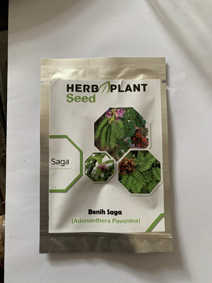 Jual Benih Biji Pohon Saga - Benih Tanaman Daun Saga - Isi 30 biji ...