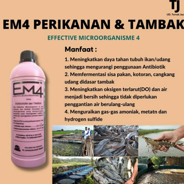 Jual em4 perikanan 1 liter original probiotik bakteri kolam - Jakarta ...