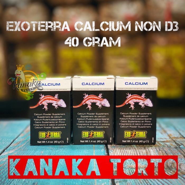 Jual Exoterra Calcium Non D3 40 Gram Kalsium Reptil Gecko Kodok Pacman ... Jual Exoterra Calcium Non D3 40 Gram Kalsium Reptil Gecko Kodok Pacman ...