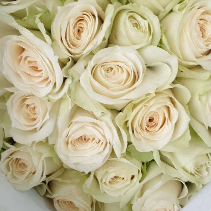 Jual bunga potong mawar 1 tangkai fresh segar hidup rose flower grade A ...