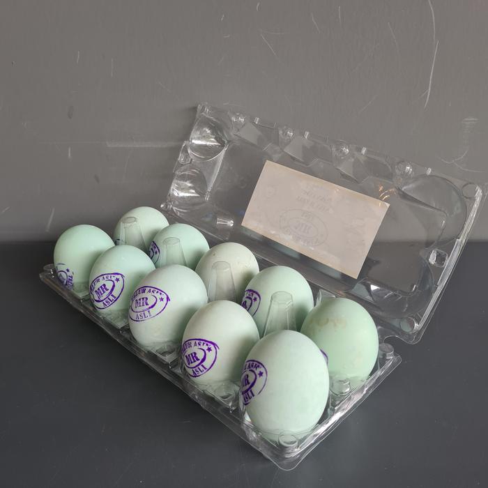 Jual Paket Telur Asin B Isi 10 - Packing Mika Plastik - Khusus Gojek Di ...