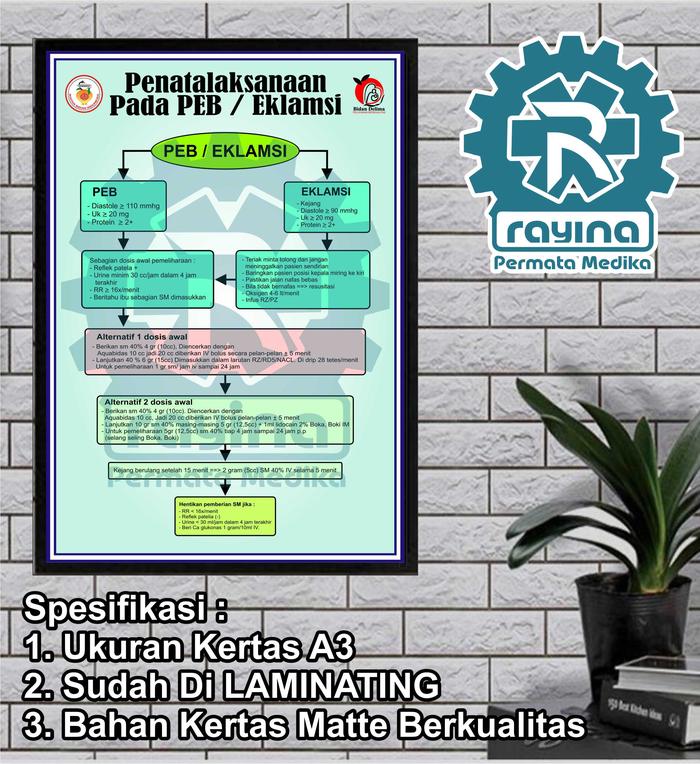 Jual Poster Penatalaksanaan Pada PEB / Eklamsi - Kab. Bandung - Rayina ...