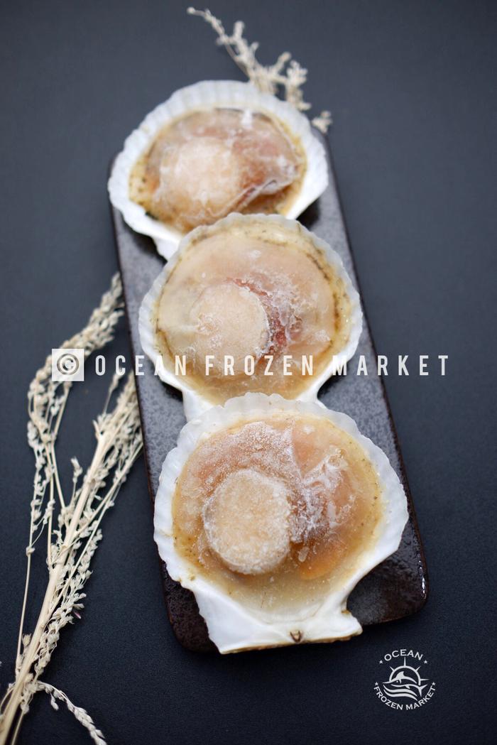 Jual Frozen Japanese Hotate Half 400gr / pack kerang scallop - Jakarta ...