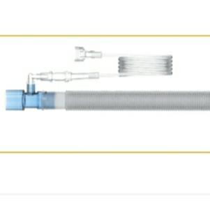 Jual Jackson Rees Anak Merk King Sistem Di Seller Shin Store ...